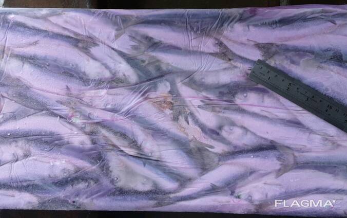 Салака свежемороженная — Купить в Харькове на Flagma.ua #15440393